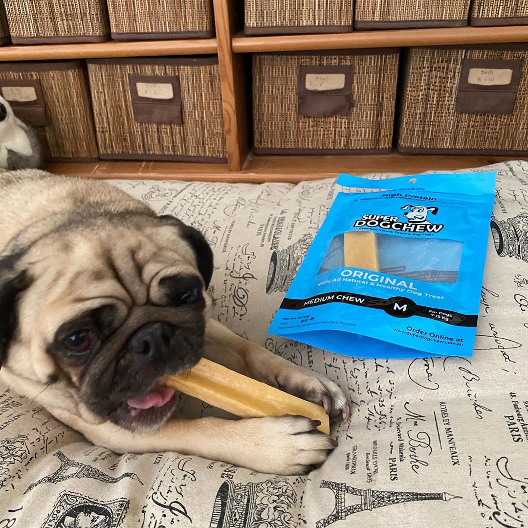 Healthiest Dog Treat from The Himalayas and its benefits – Super Dog Chew